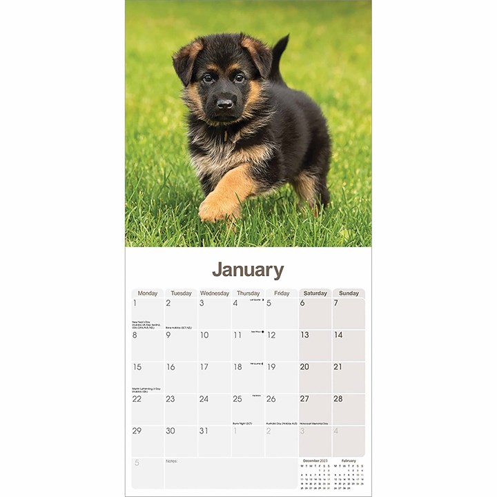 German Shepherd Calendar 2024 Square Dog Breed Wall Calendar - 16 Month ...